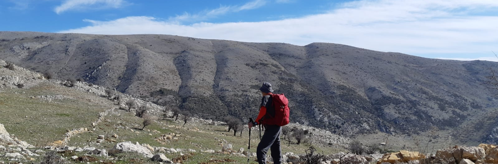 Habib Helou - MOOVTOO