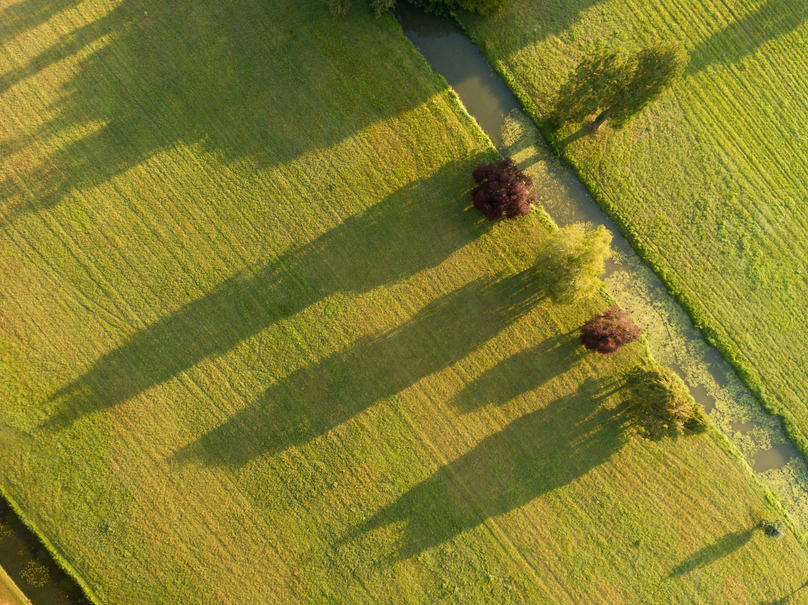 Parc de Richelieu - MOOVTOO Guide